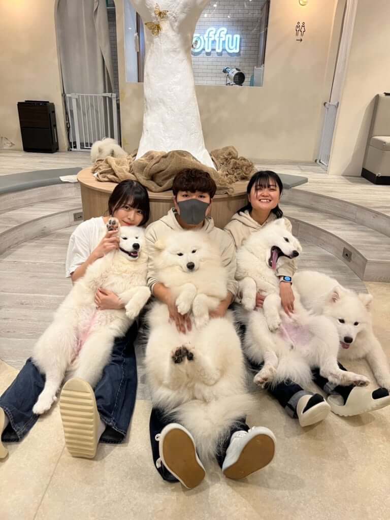 原宿の新定番『サモエドカフェmoffu』は白い天使たちにモフれる夢のような癒やしの空間♡｜itSnapマガジン